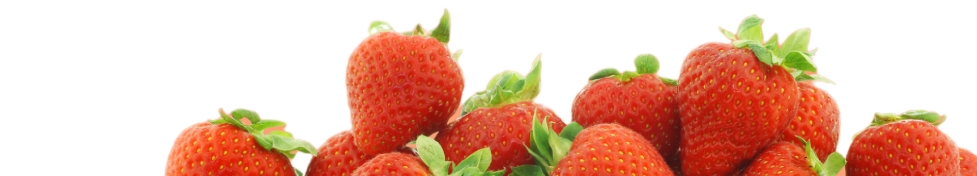 About | Our Story | The Smoothie Company History & Mission